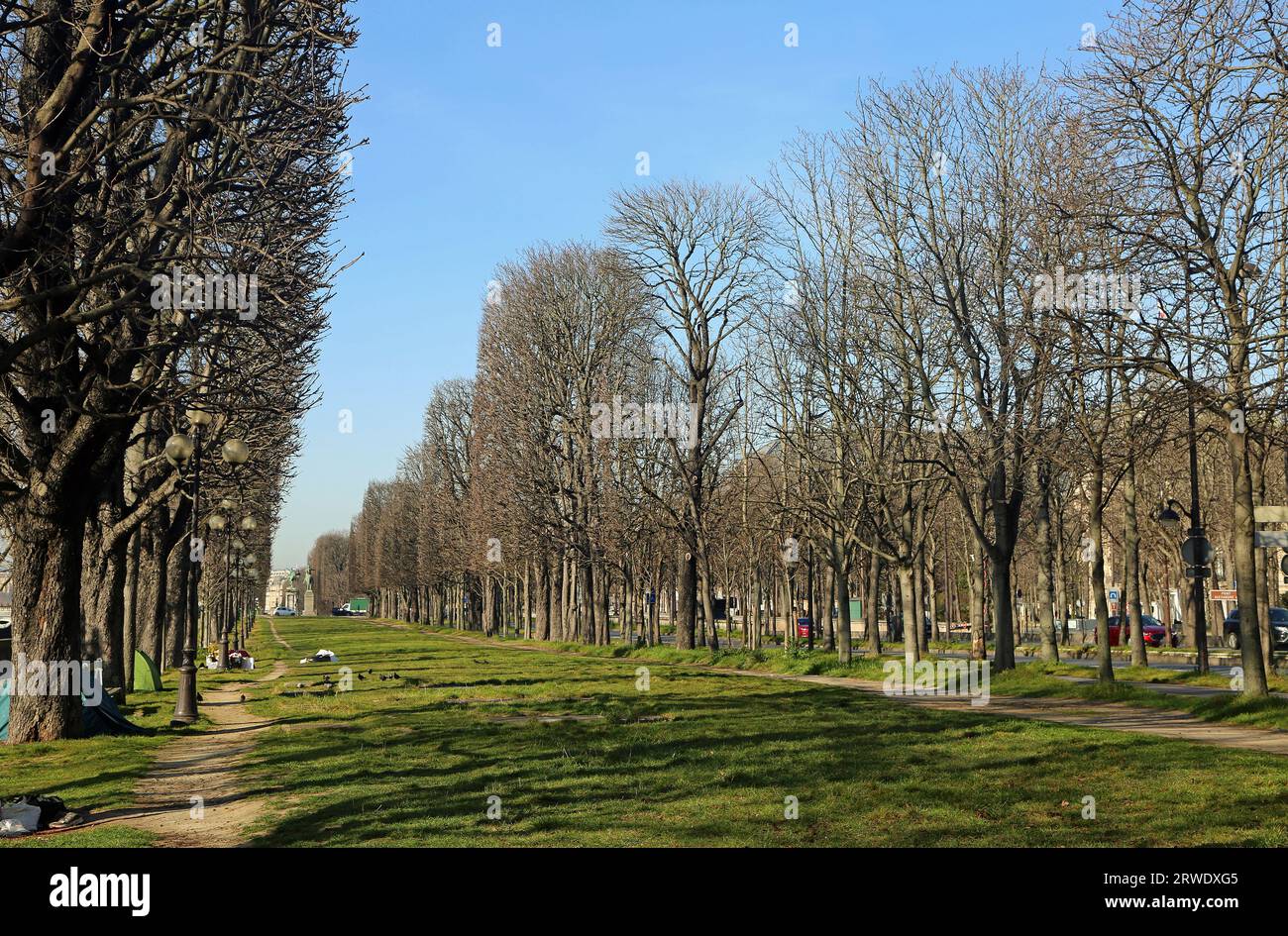 Row of trees paris hi-res stock photography and images - Alamy