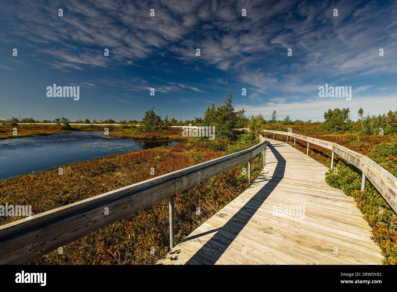 Peat bog new brunswick hi-res stock photography and images - Alamy