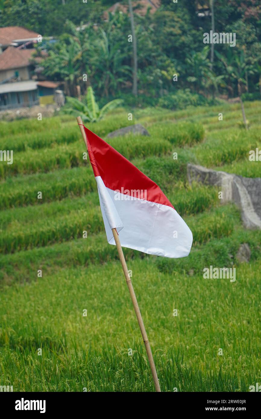 Indonesian flag government hi-res stock photography and images - Alamy
