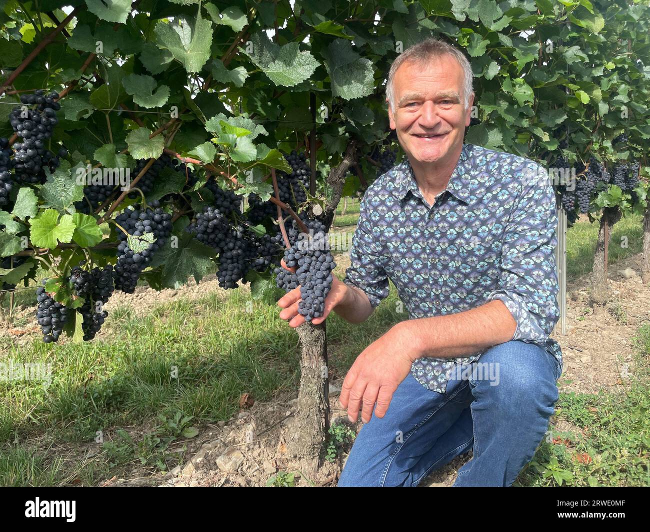 Neusiedl, Austria. 14th Sep, 2023. Not far from the shore of Lake ...
