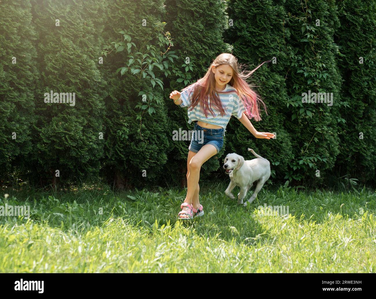Little girl playing with a golden retriever puppy in the garden ...