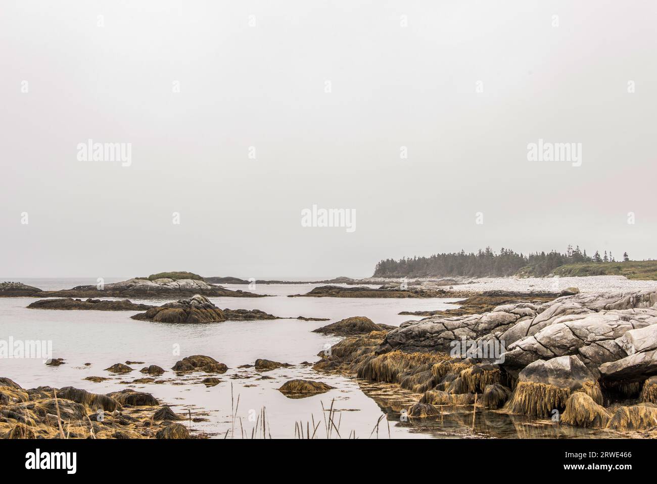 Exploring The Beach In The Mist Morning At Kejimkujik National Park
