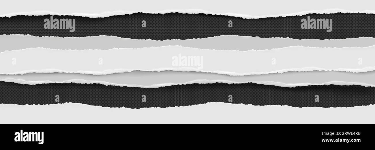 Blank Ripped Paper Vectors