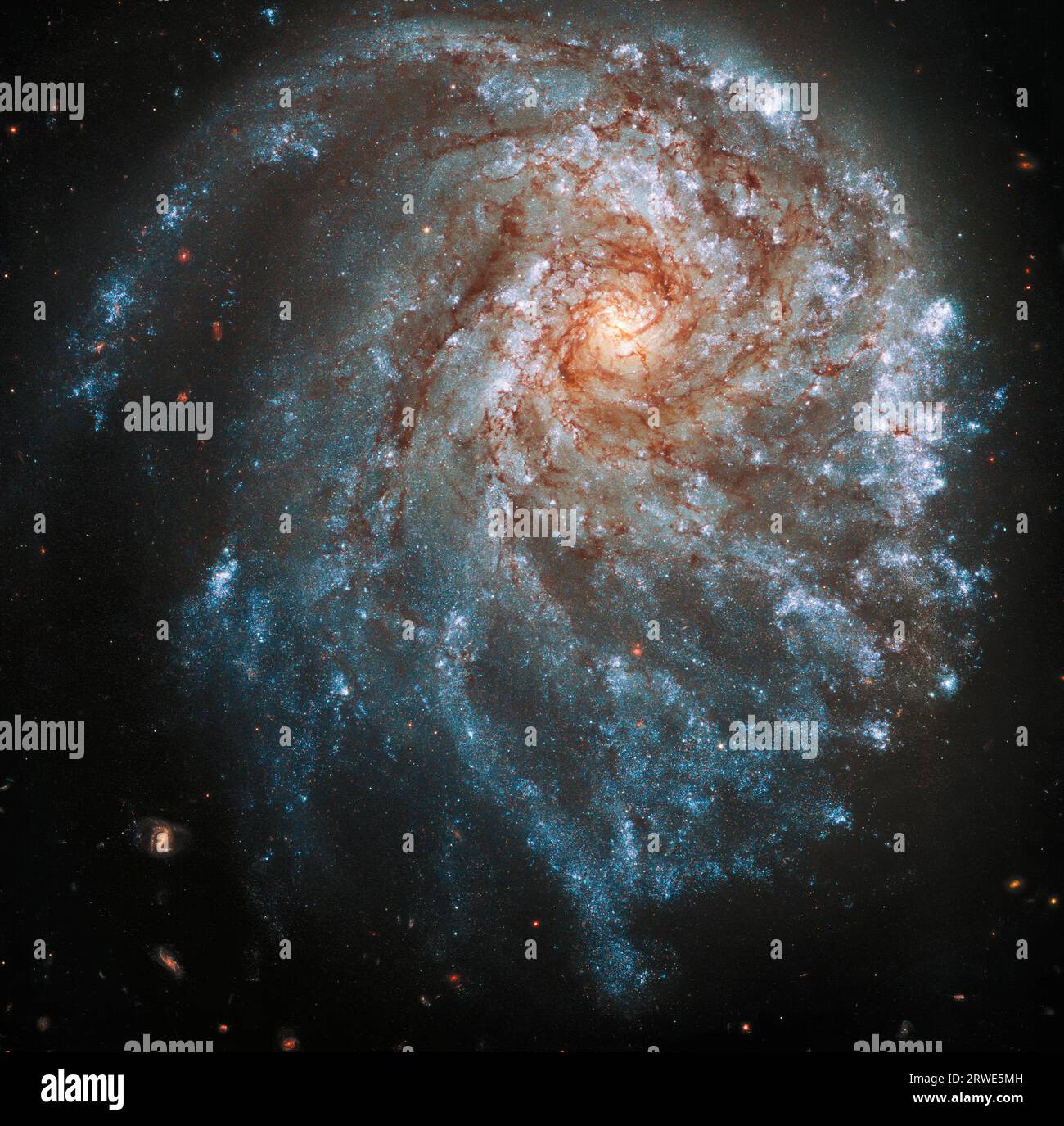 Spiral Galaxy NGC 2276 constellation Cepheus Stock Photo - Alamy