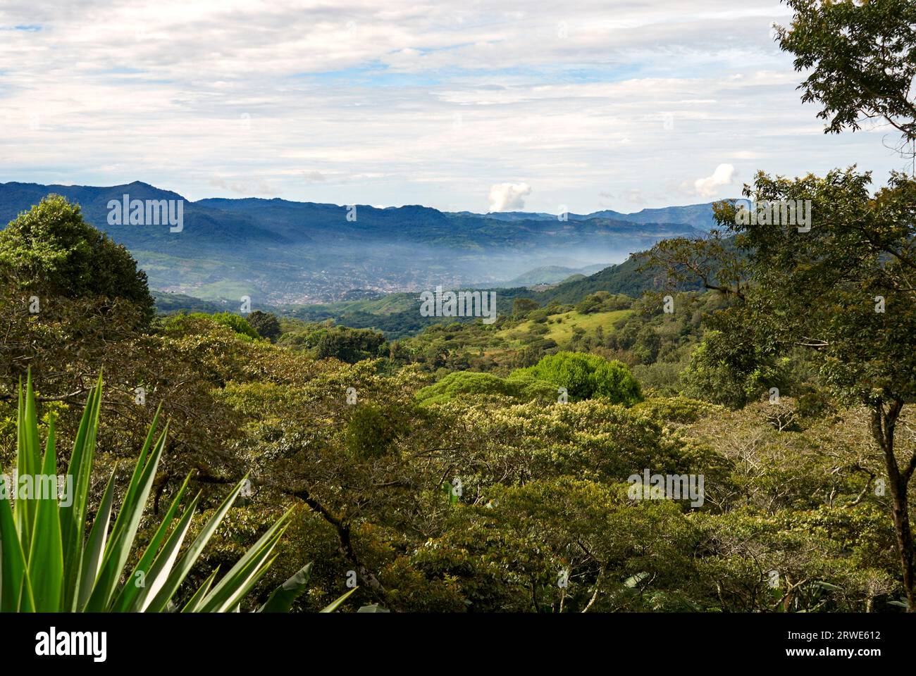 Lush mountainous landscape from the Finca Selva Negra coffee plantation ...