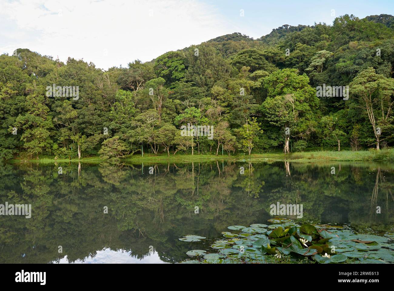 Lake and forests at the Finca Selva Negra coffee plantation near ...