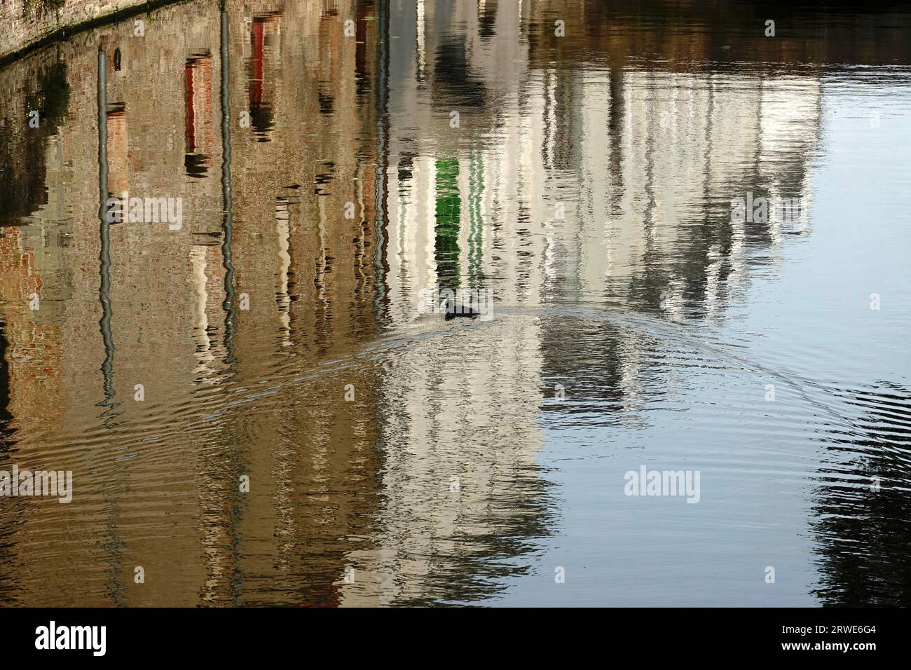 Late reflect hi-res stock photography and images - Alamy