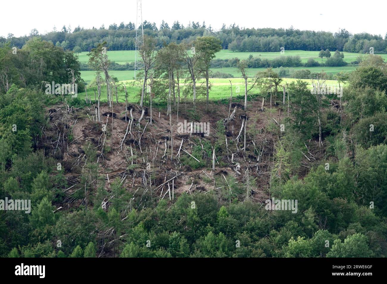 Damage by weather hi-res stock photography and images - Alamy