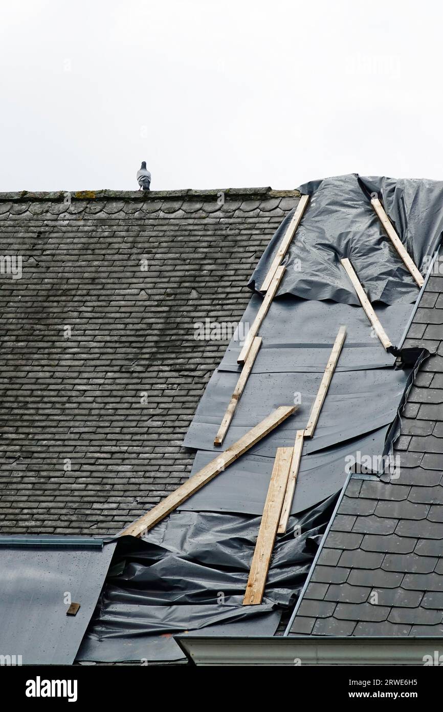 Damage by weather hi-res stock photography and images - Alamy