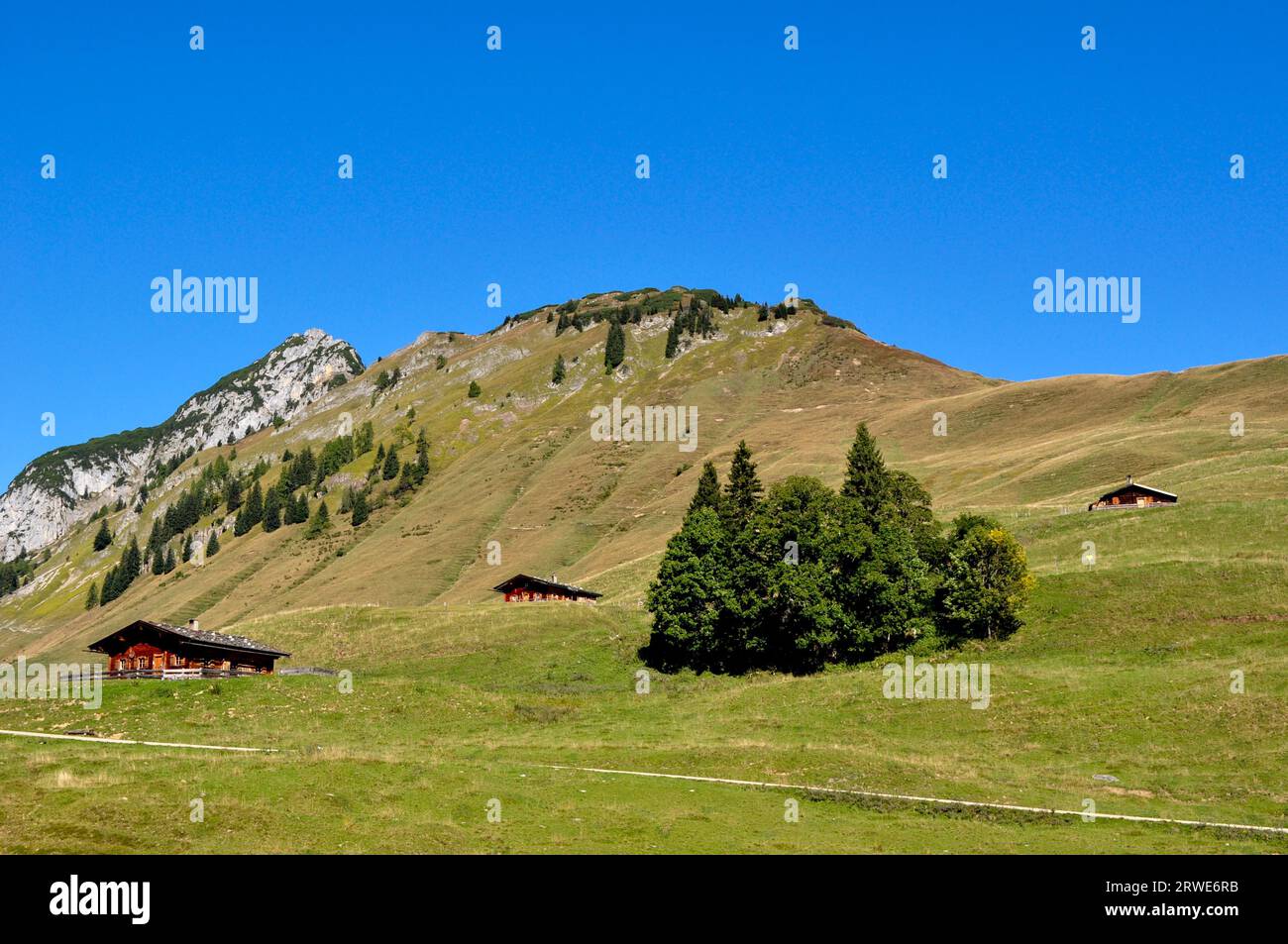 The rustic alpine huts on the Kallbrunnalm in the Berchtesgaden Alps ...