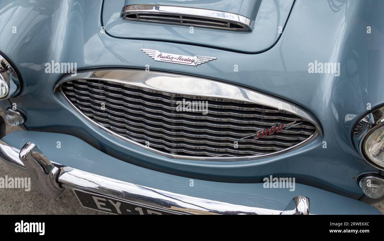Pau , France - 08 17 2023 : Austin Healey 3000 z Sprite Motor car logo ...