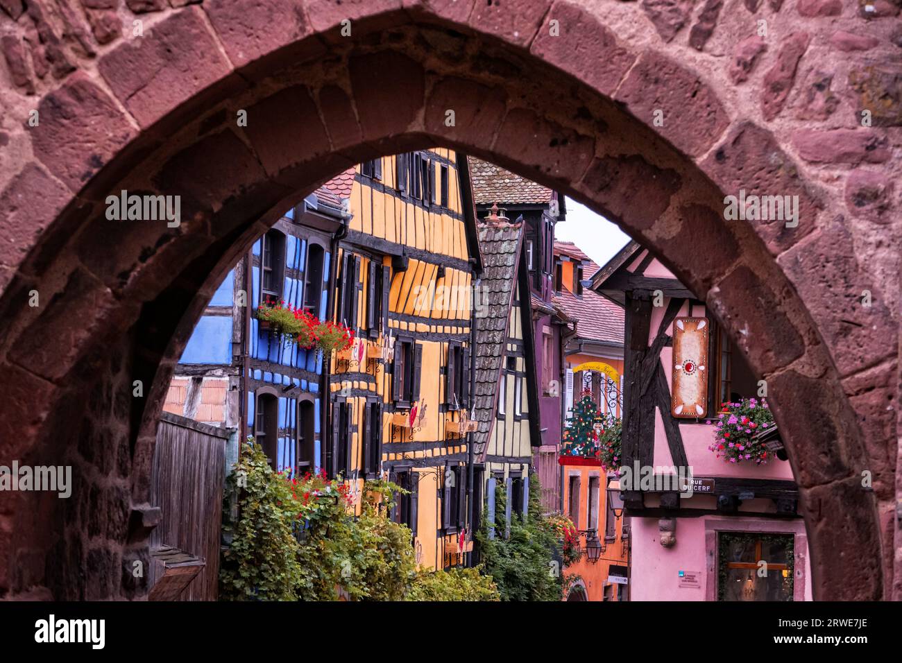 Medieval houses in Historic Riquewihr in Alsace France Stock Photo - Alamy
