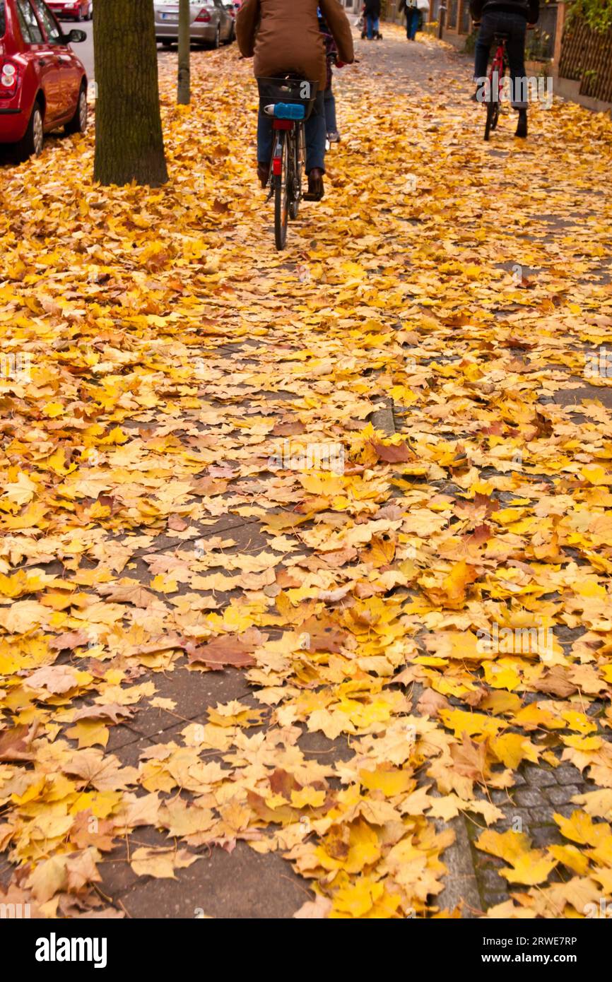 Cyclist in autumn hi-res stock photography and images - Alamy