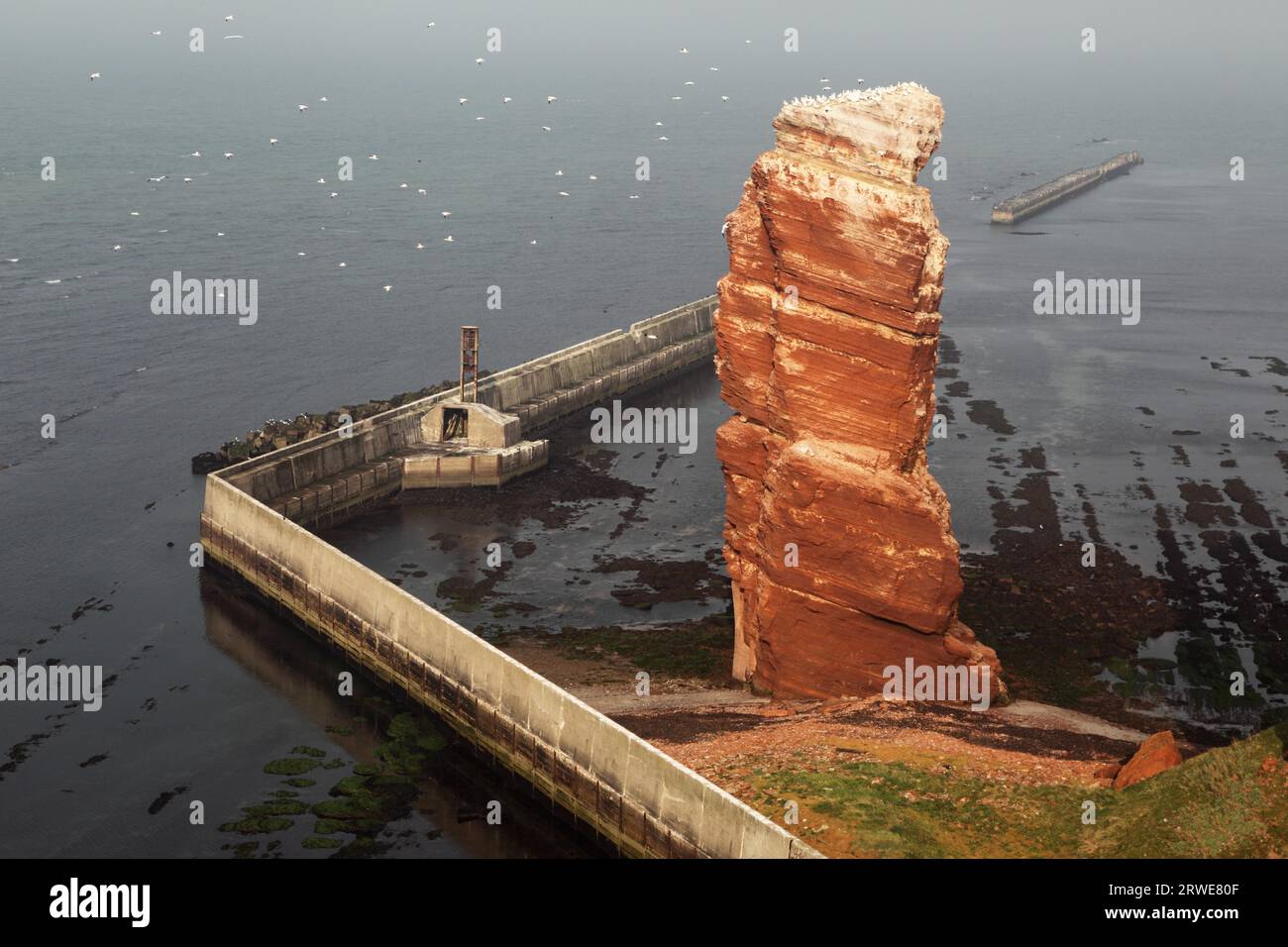 The steep coast of Helgoland with Helgoland's landmark, the Lange Anna ...