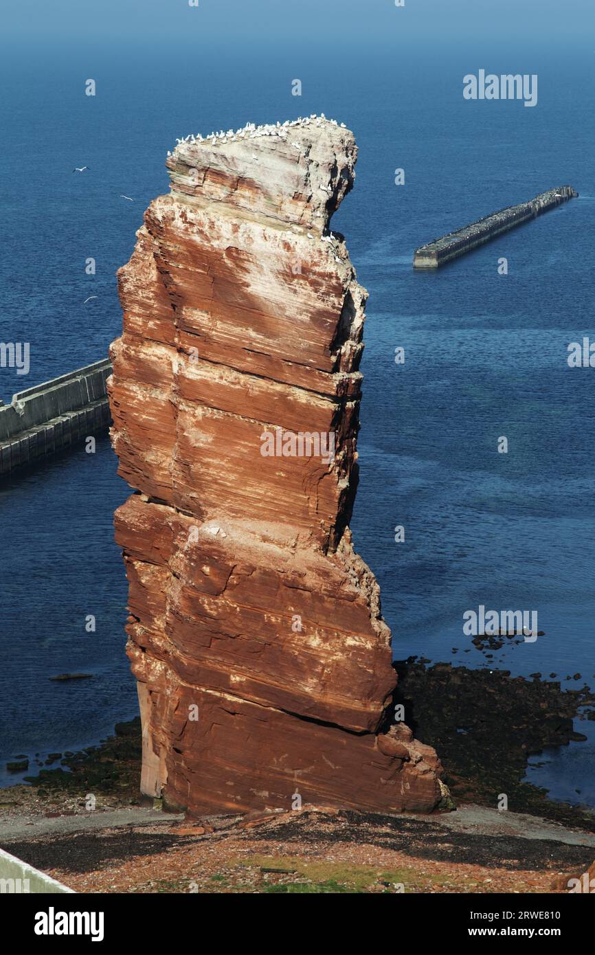 The Lange Anna, the landmark of the island of Helgoland Stock Photo - Alamy
