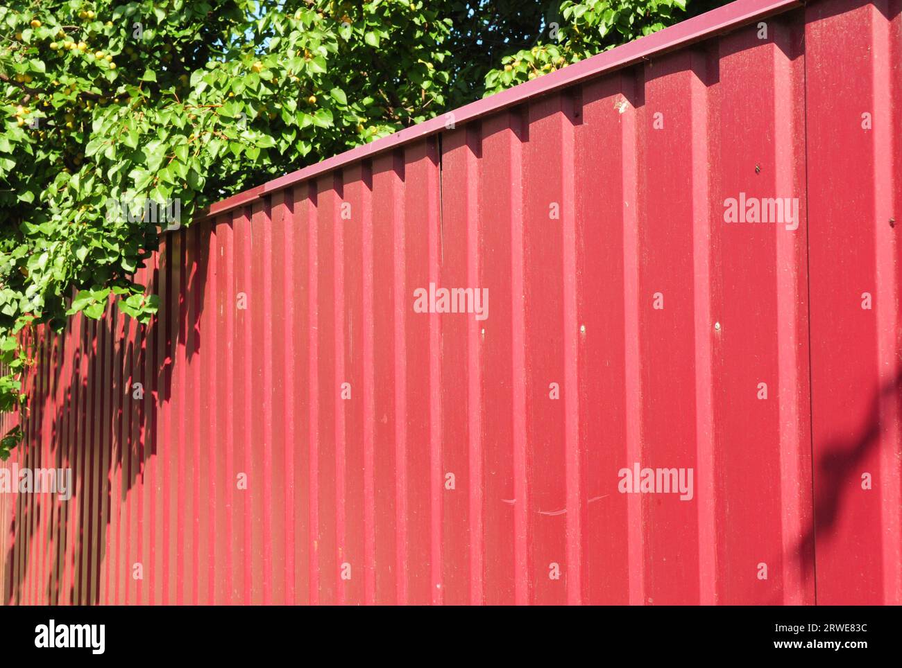 Red metal corrugated sheets fence on the house street side with green ...