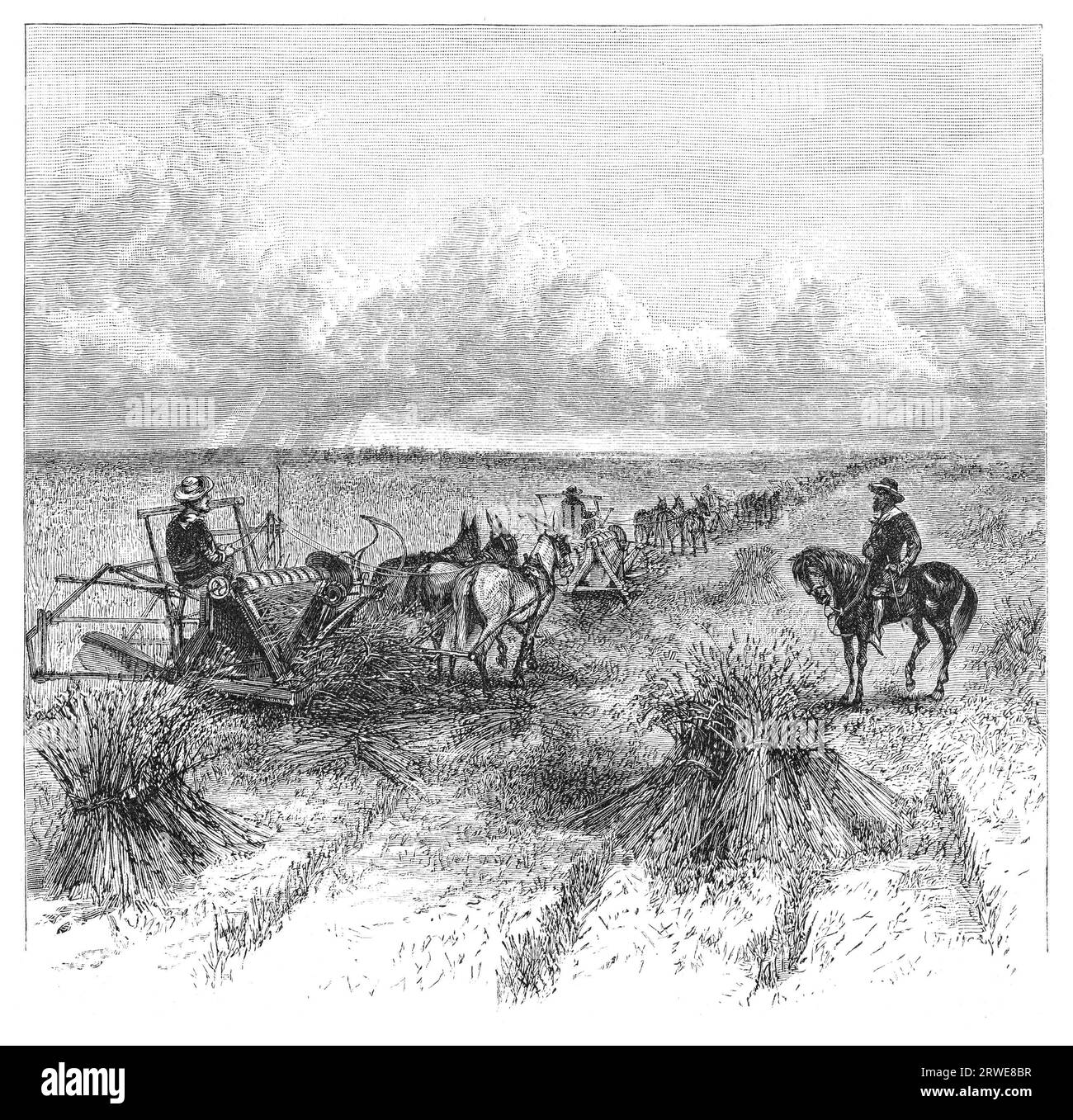 Agriculture in Dakota, USA: Reaping. Image source: Harpers Monthly ...