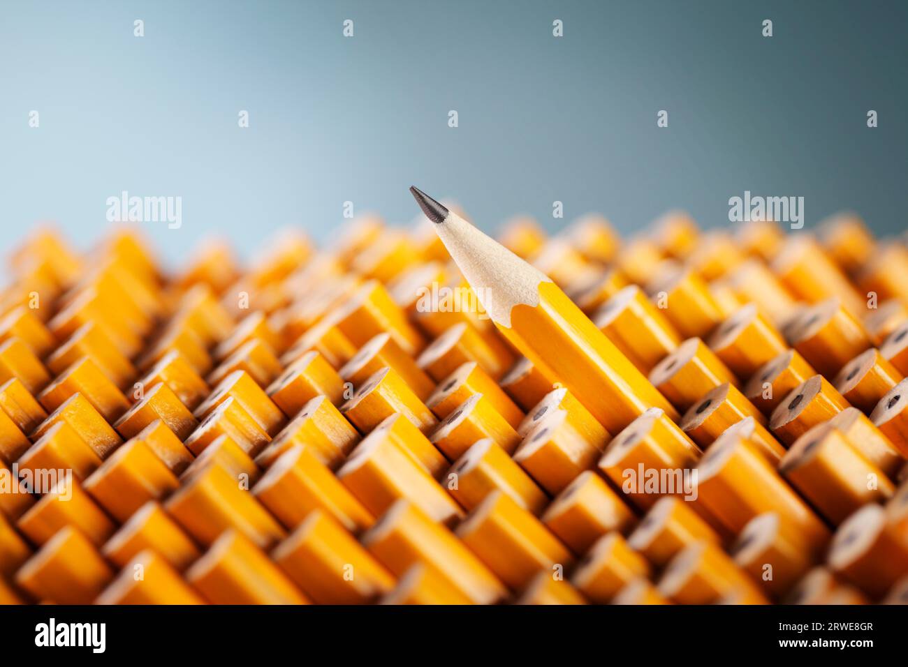 Sharpened pencil amongst the non-sharpened ones Stock Photo - Alamy