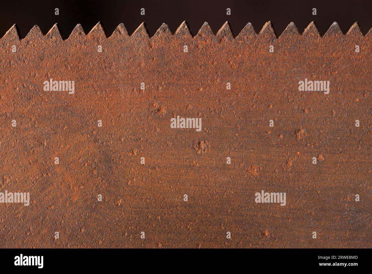 Old rusty saw blade in closeup Stock Photo - Alamy