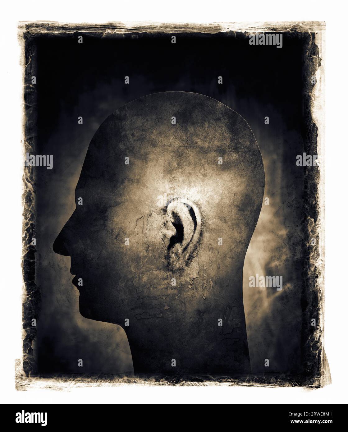 Grainy and gritty image of a man's head with ear in spotlight Stock ...