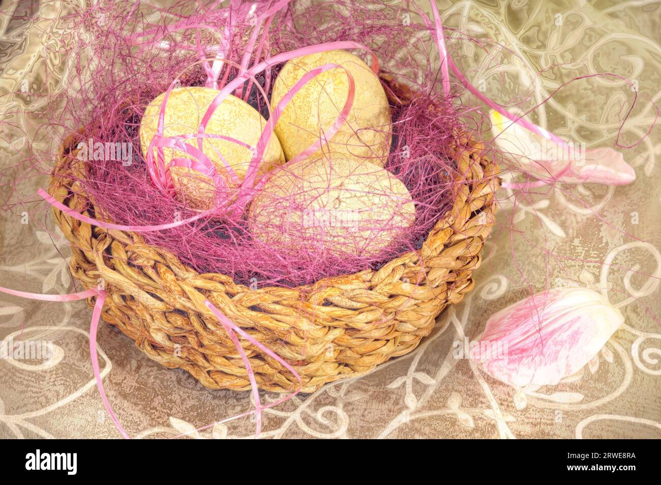 Digital nest hi-res stock photography and images - Alamy