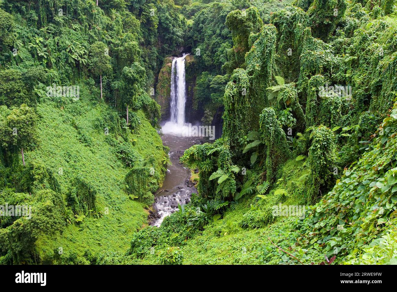 Samoa rain forest hi-res stock photography and images - Alamy