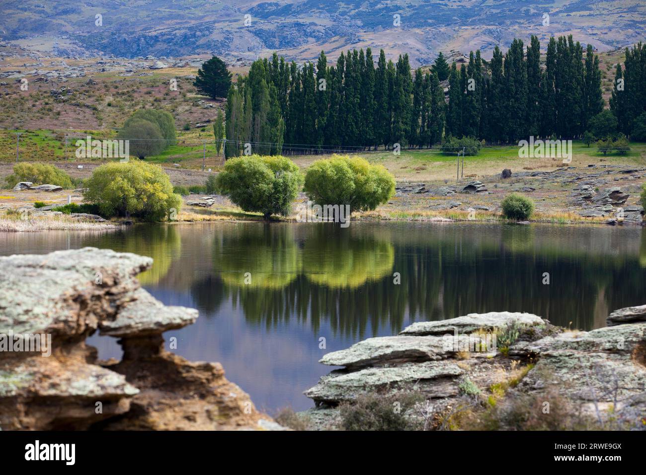 Central otago region hi-res stock photography and images - Alamy