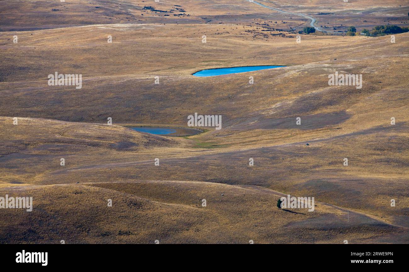 Mackenzie country, New Zealand, South Island Stock Photo - Alamy