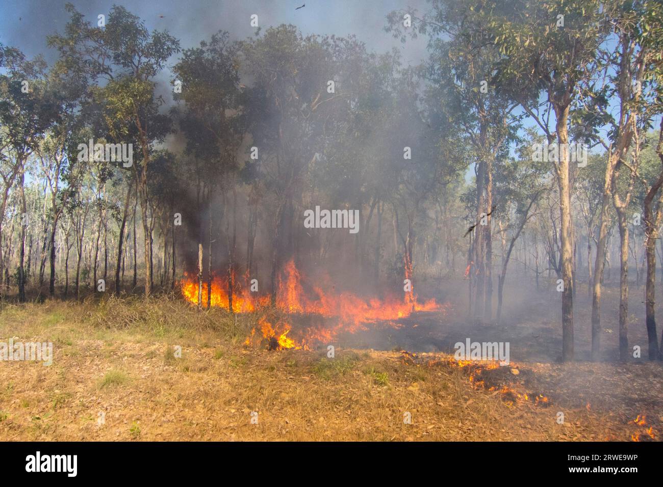Australian fire outback hi-res stock photography and images - Alamy