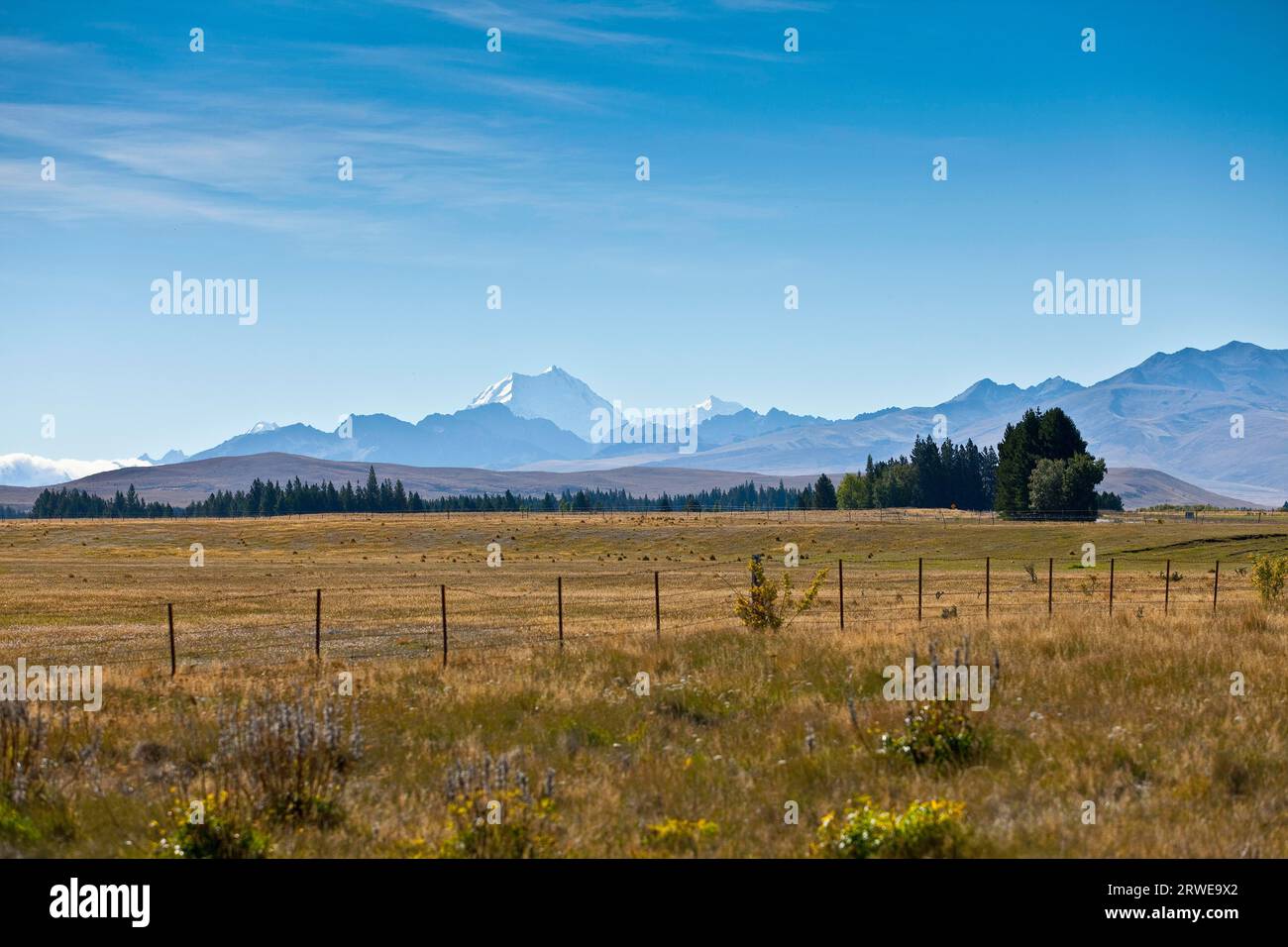 Mackenzie country, New Zealand, South Island Stock Photo - Alamy