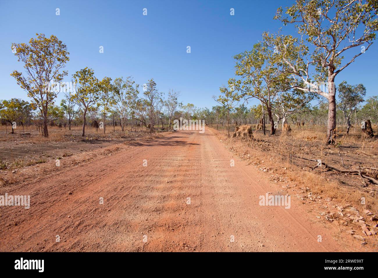 Australian outback environment hi-res stock photography and images - Alamy