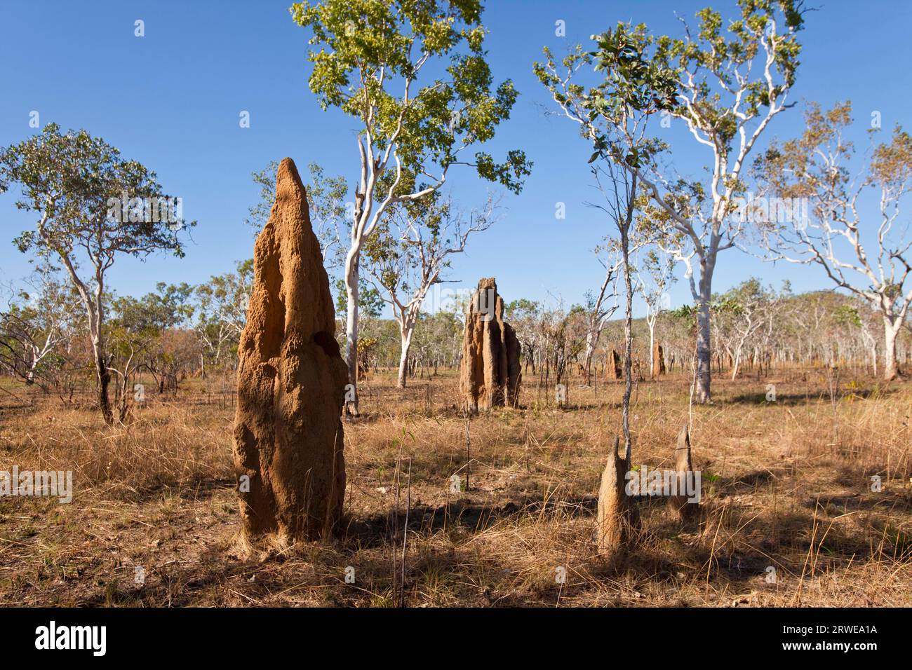 Australian outback photography hi-res stock photography and images - Alamy