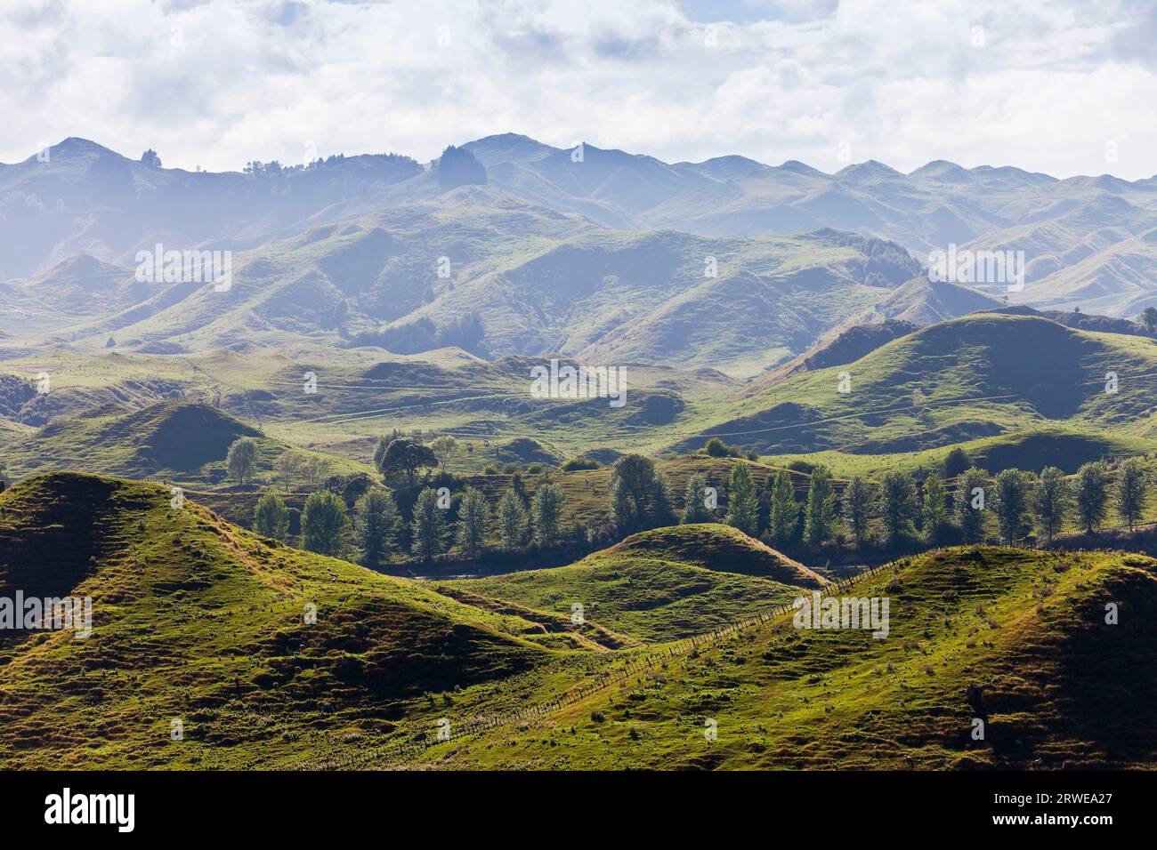 Landscape on the Wanganui River, New Zealand Stock Photo - Alamy