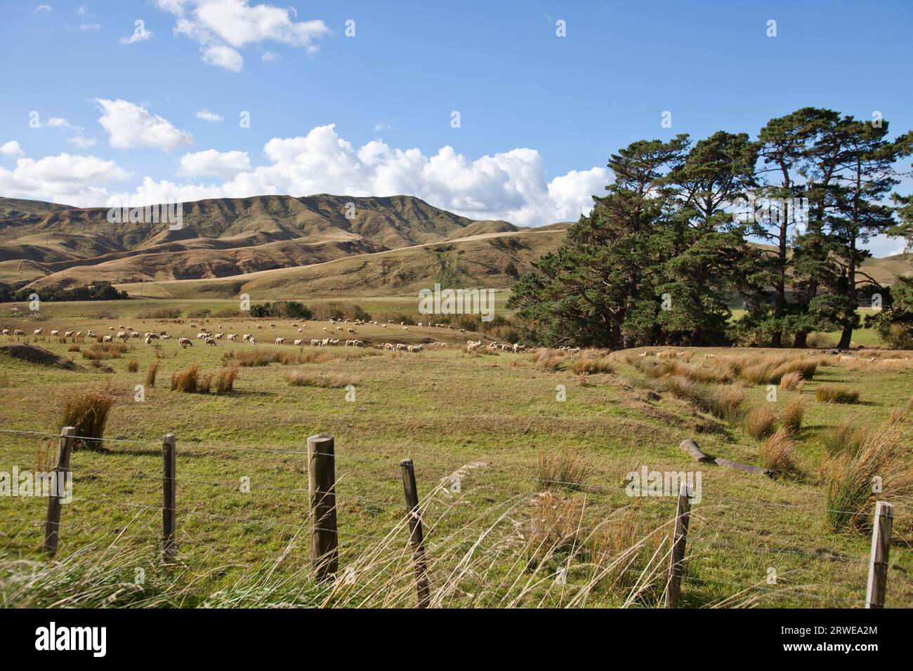 New zealand and scotland hi-res stock photography and images - Alamy