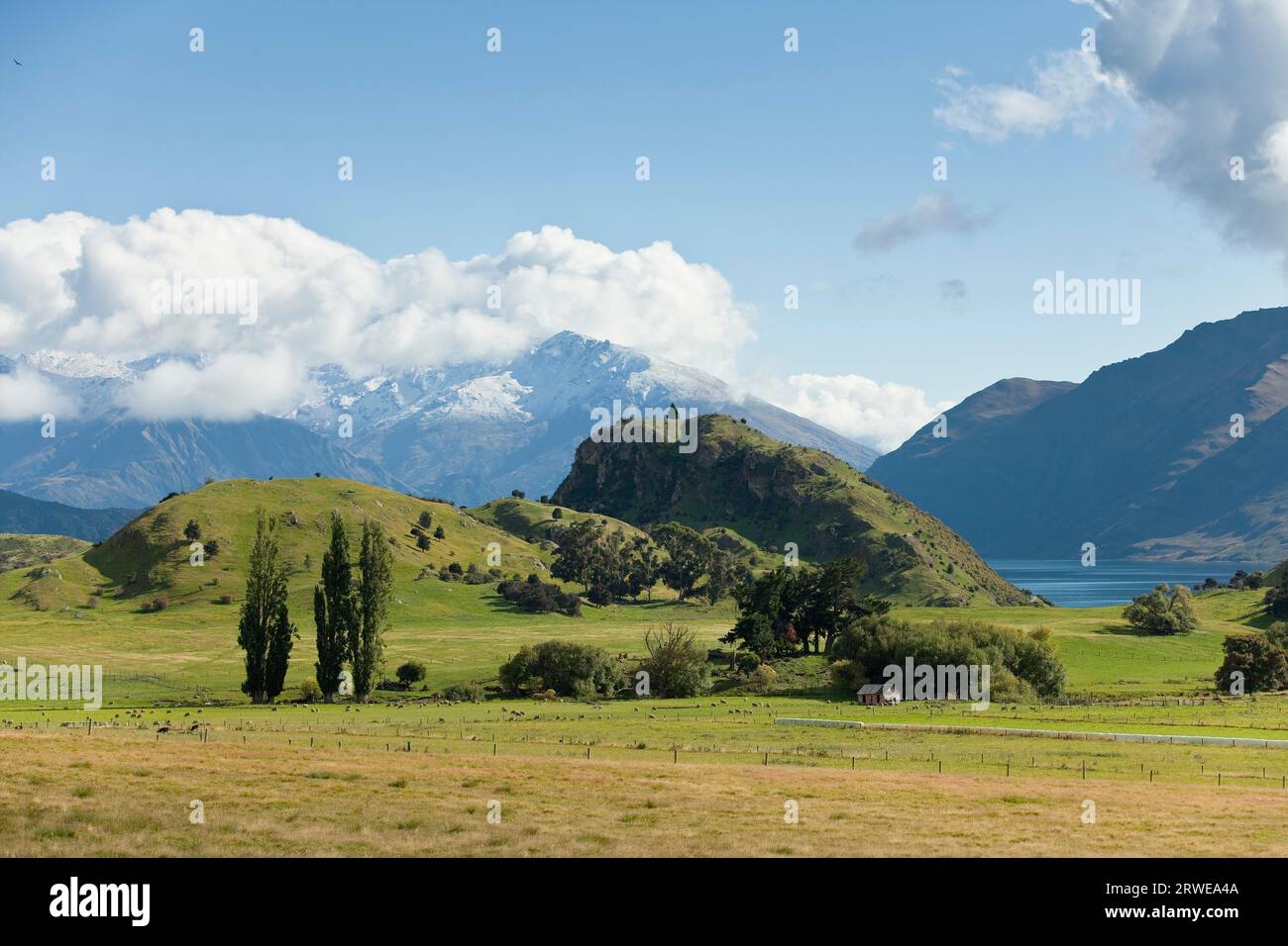 Landscape in the Wanaka Region, New Zealand, South Island Stock Photo ...