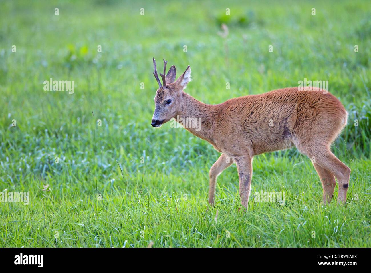 Opposite position hi-res stock photography and images - Alamy