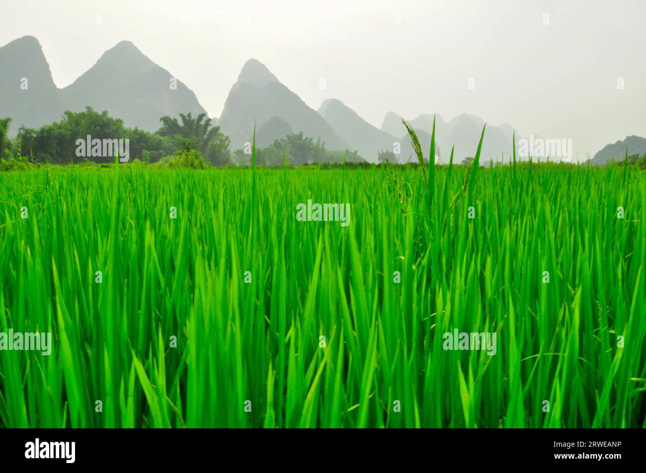 Beautiful Li river side Karst mountain landscape in Yangshuo Guilin ...