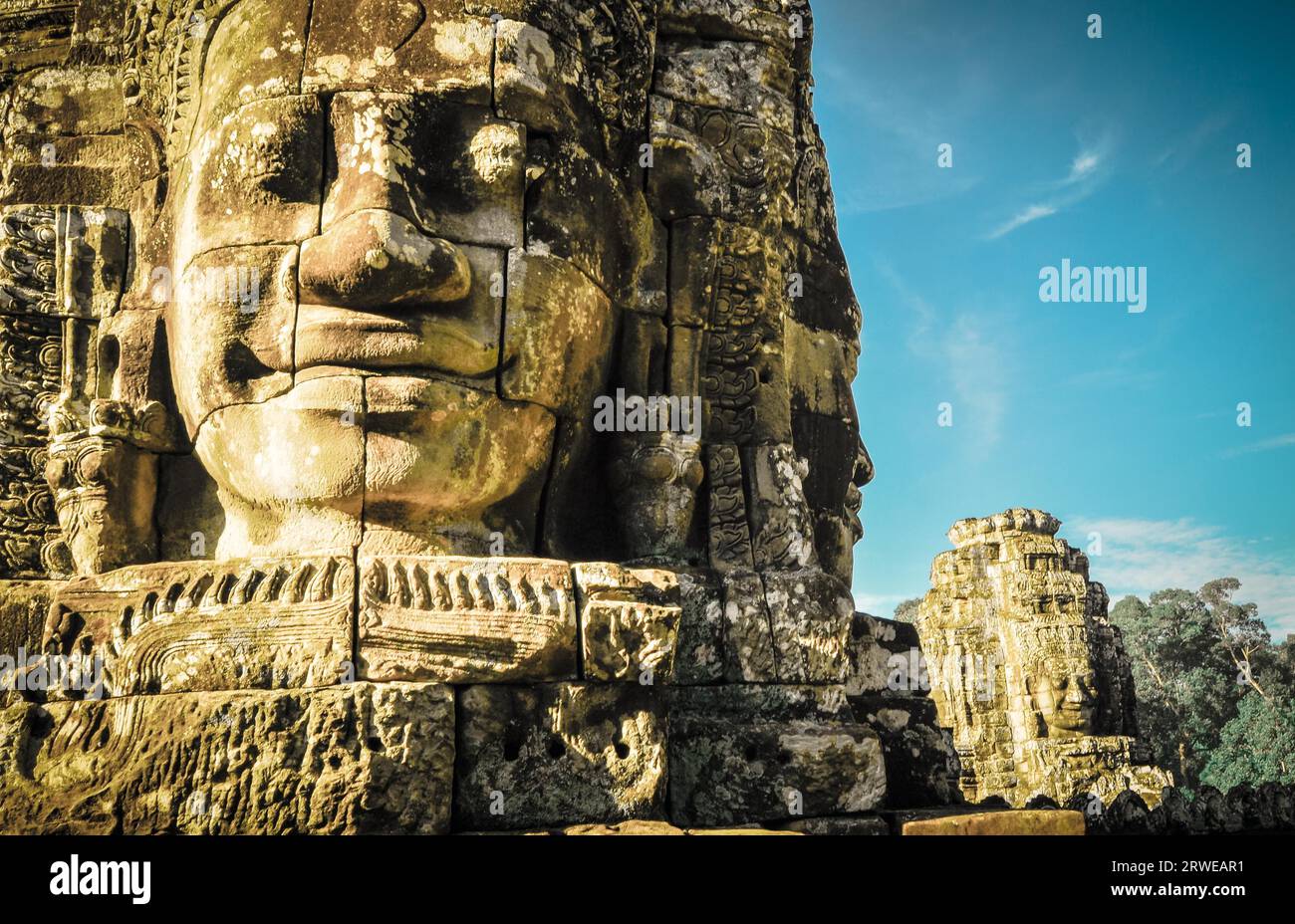 Giant tree covering Ta Prom and Angkor Wat temple, Siem Reap, Cambodia ...