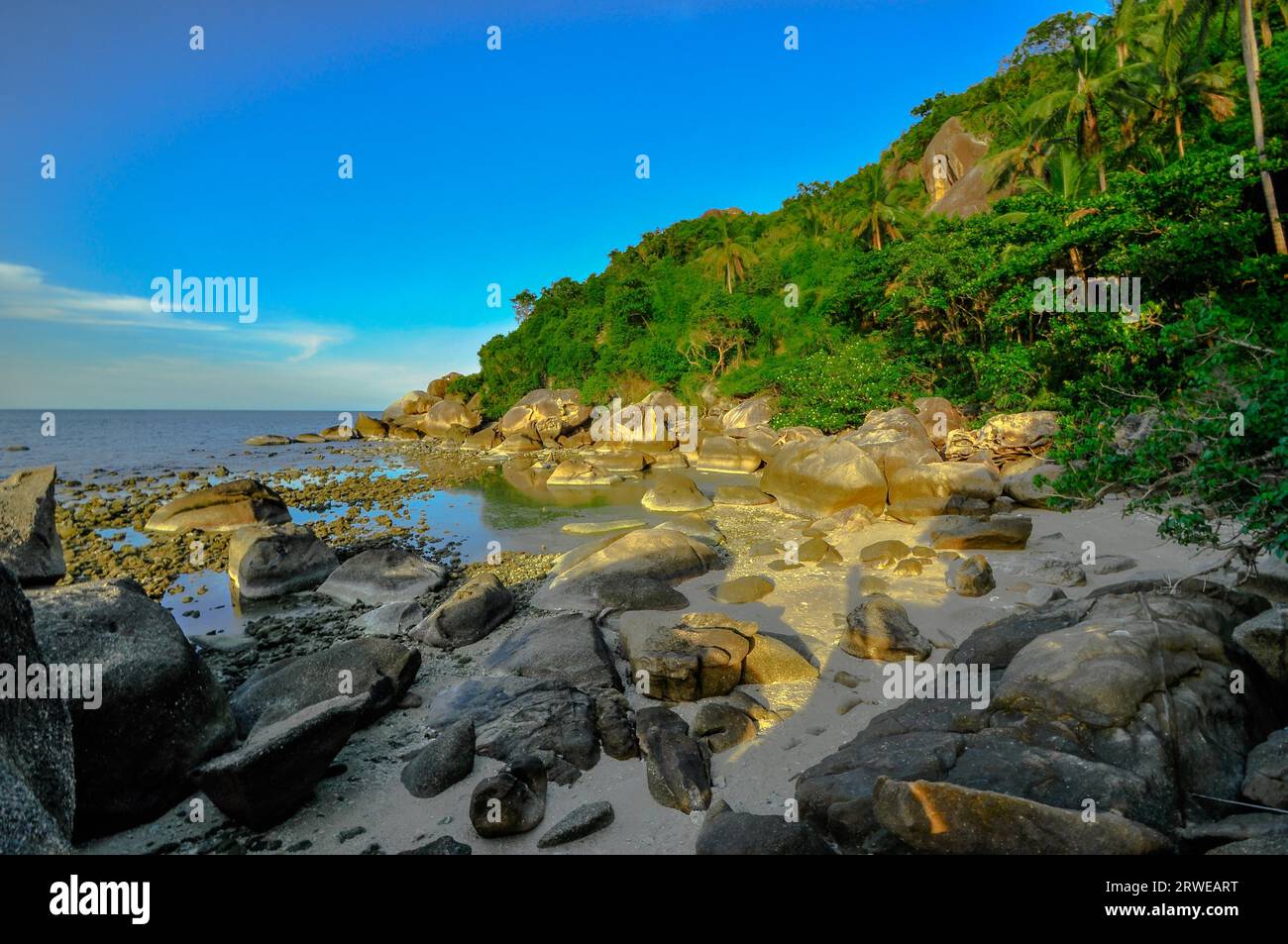 Panoramic tropical beach with coconut palm. Koh Samui, Thailand, Asia ...