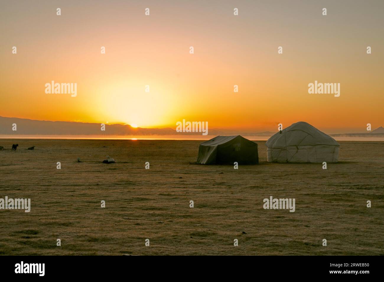 Sun rising over traditional yurt of nomadic tribe on green grasslands ...