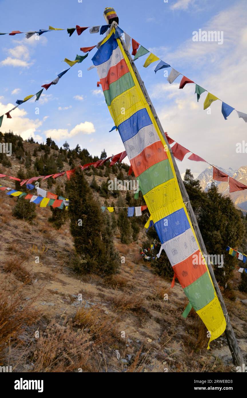 Picturesque view of colorful Buddhist flags hanging over trees in ...