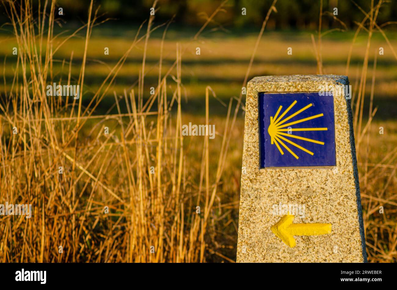 signpost on the Camino de Santiago in Galicia at sunset, pilgrimage ...