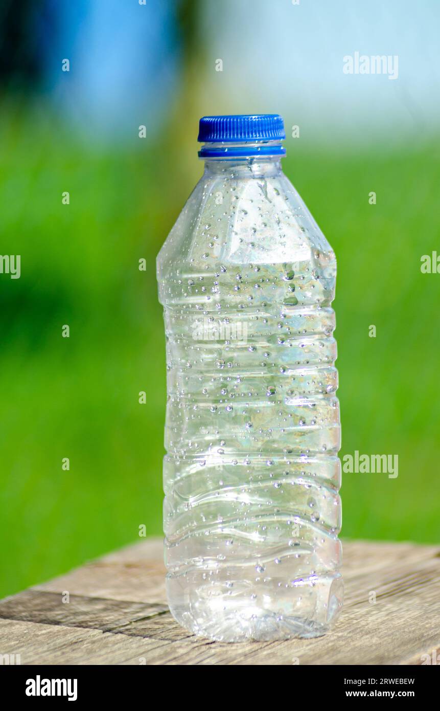 empty plastic water bottle on green background, concept of recycling ...
