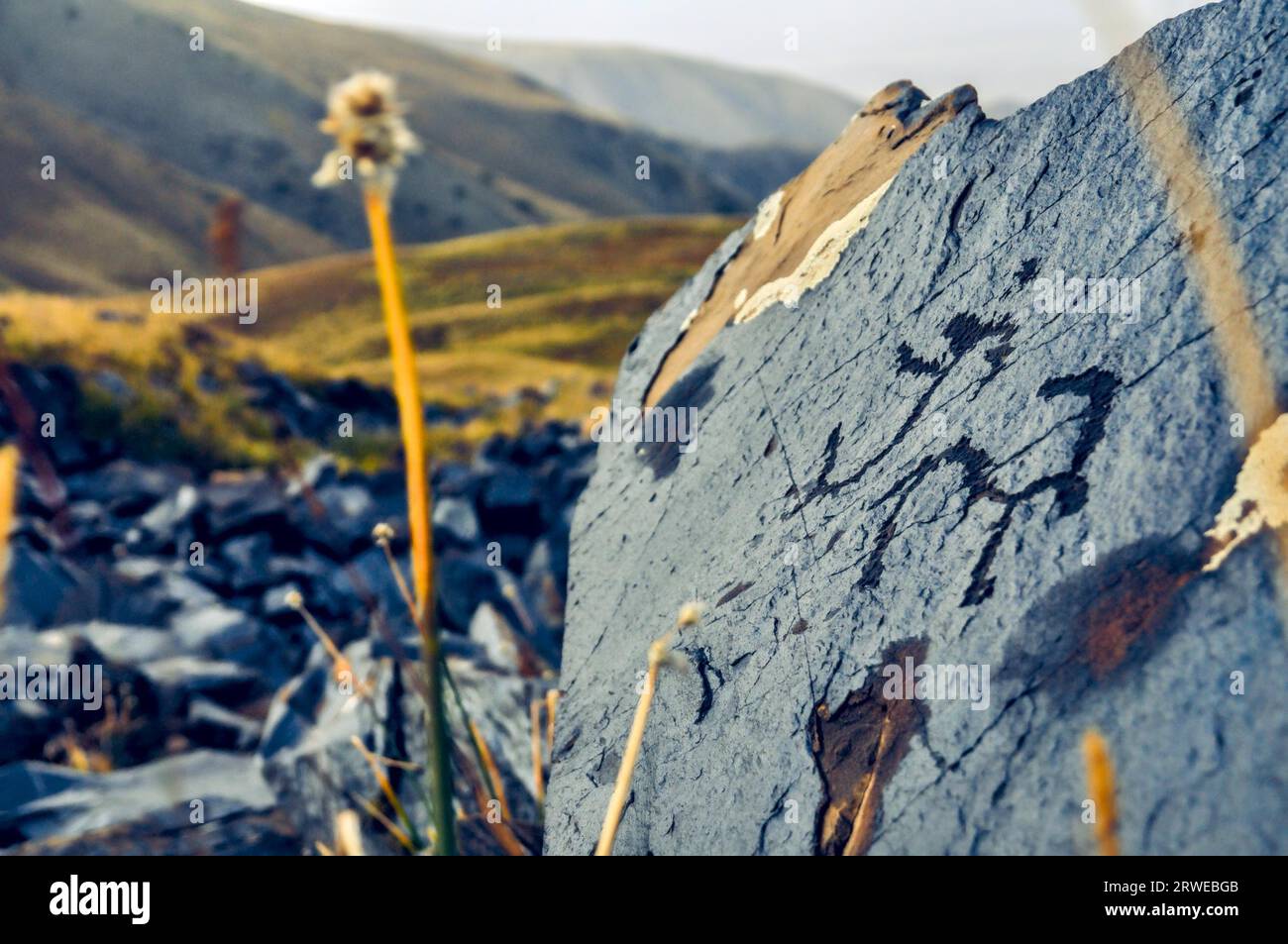 Ancient pictograms engraved on rock on Saimaluu Tash site in Kyrgyzstan ...
