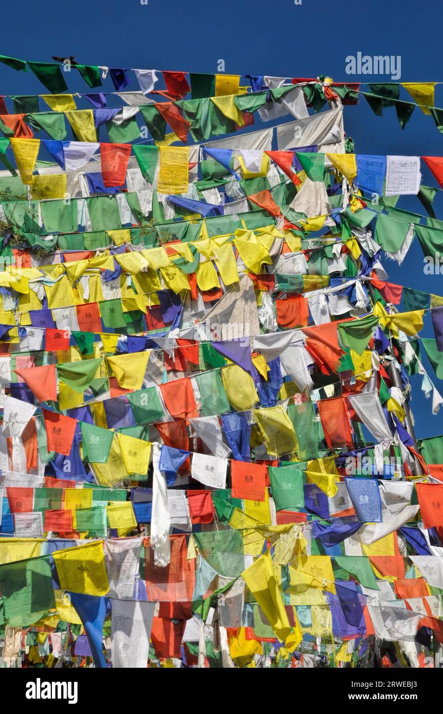 Colorful buddhist prayer flags in town of Dharamshala, India Stock ...