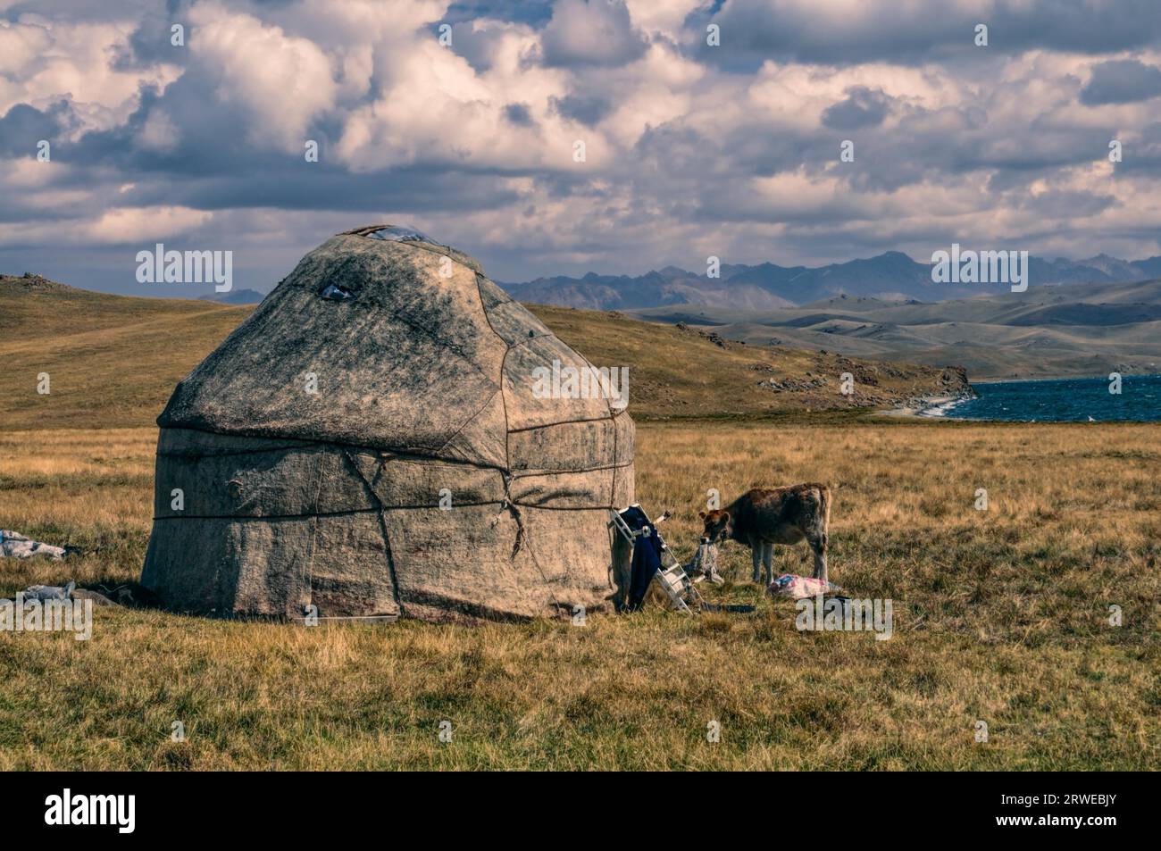 Traditional yurt of nomadic tribe on green grasslands in Kyrgyzstan ...