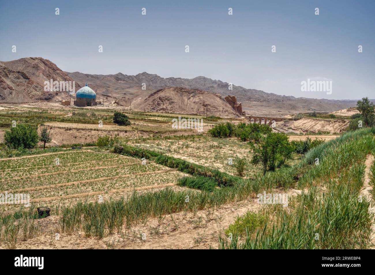 Crops in arid iranian landscape near village of Kharanaq in Iran Stock ...