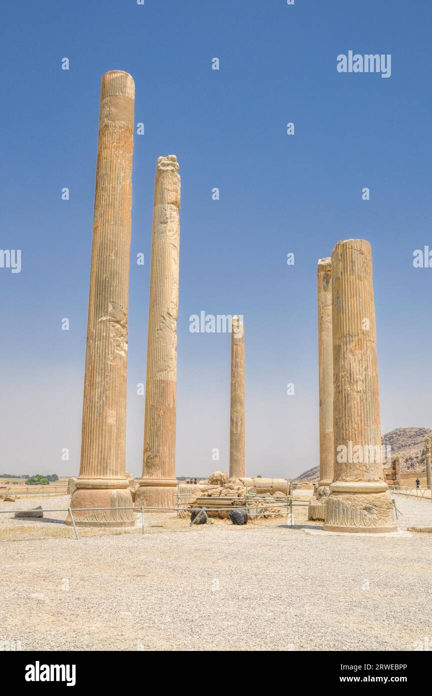 Pillars in ancient persian capital Persepolis in current Iran Stock ...