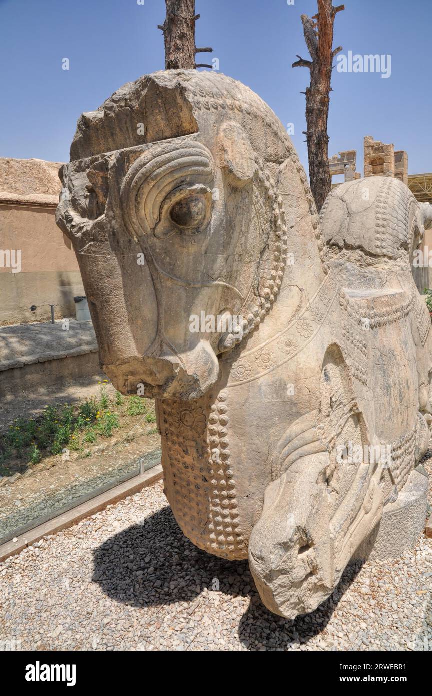 Statue of horse in ruins of persian capital Persepolis in current Iran ...