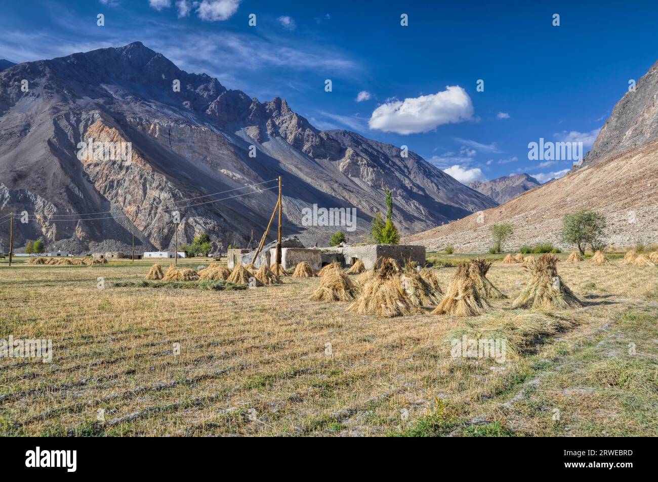 Himalayan agriculture hi-res stock photography and images - Alamy